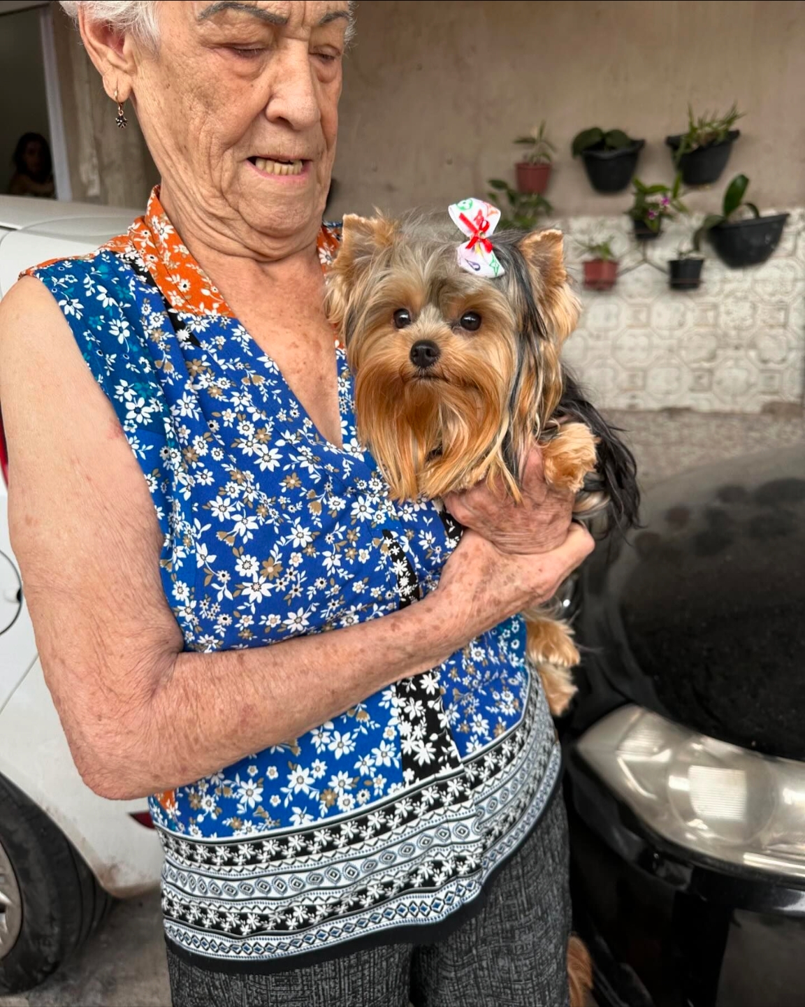 Reviews – Save Rescued Yorkies